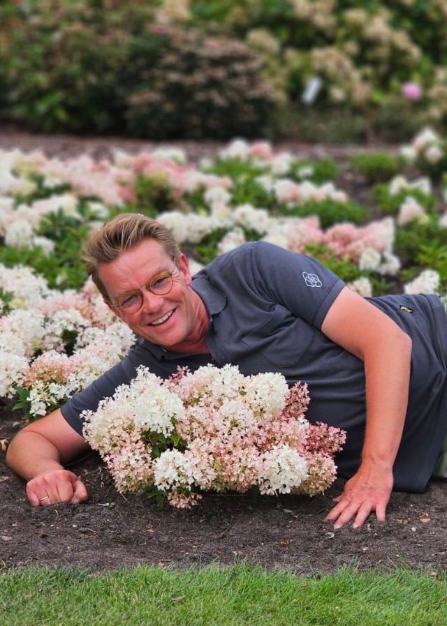 Hydrangea paniculata ‘LC NO21’ (GROUNDBREAKER® BLUSH) - PLANTARIUM ...